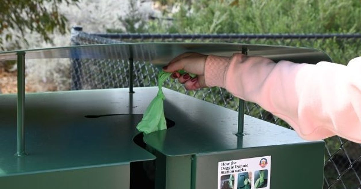 New 'Doggie Dunnies' composting system trial at pooch parks | News ...