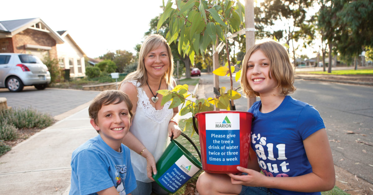 Adopt a tree - application form | City of Marion