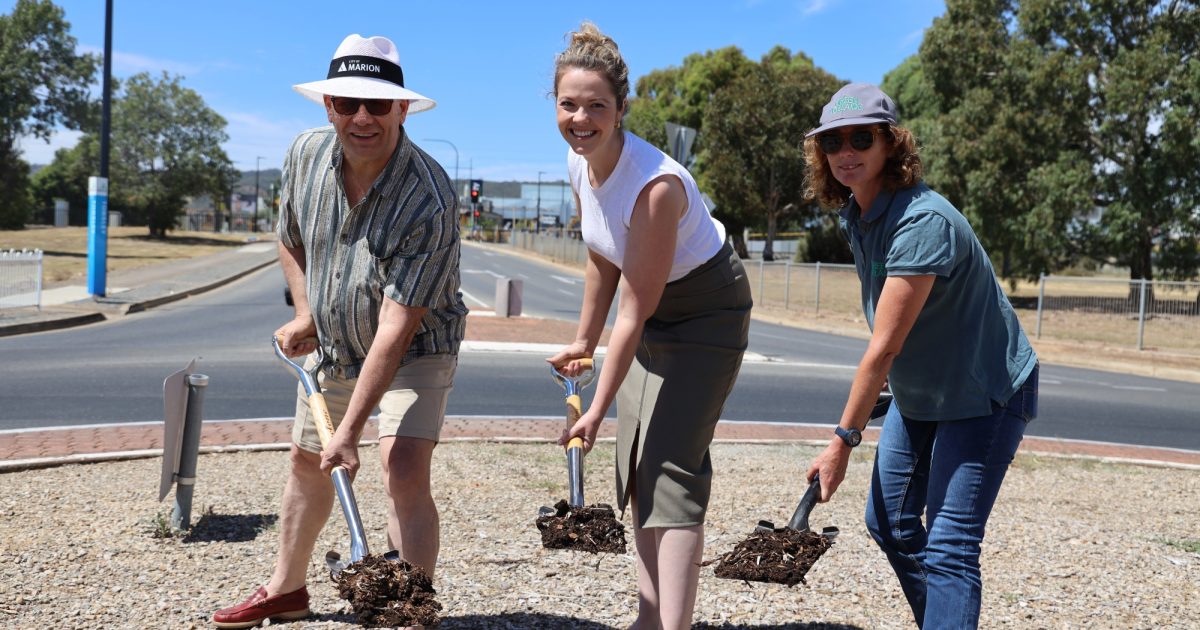 Alawoona wetlands and reserve upgrade takes shape | News | City of Marion