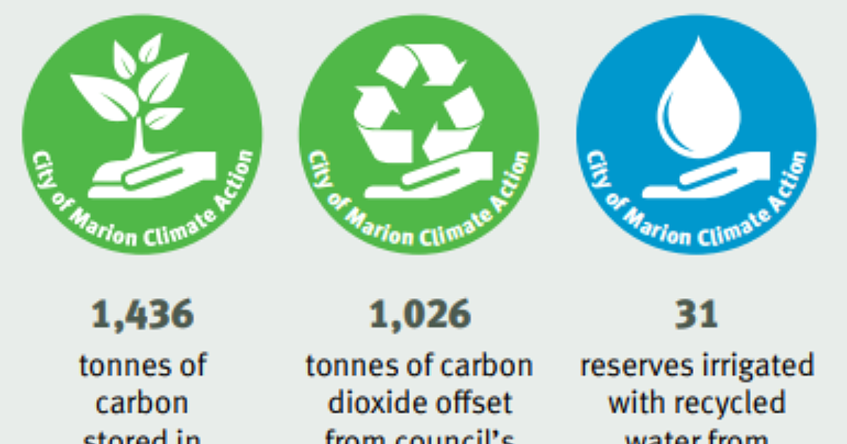 More trees, less waste: Highlights of 2022 Environment Report Card ...