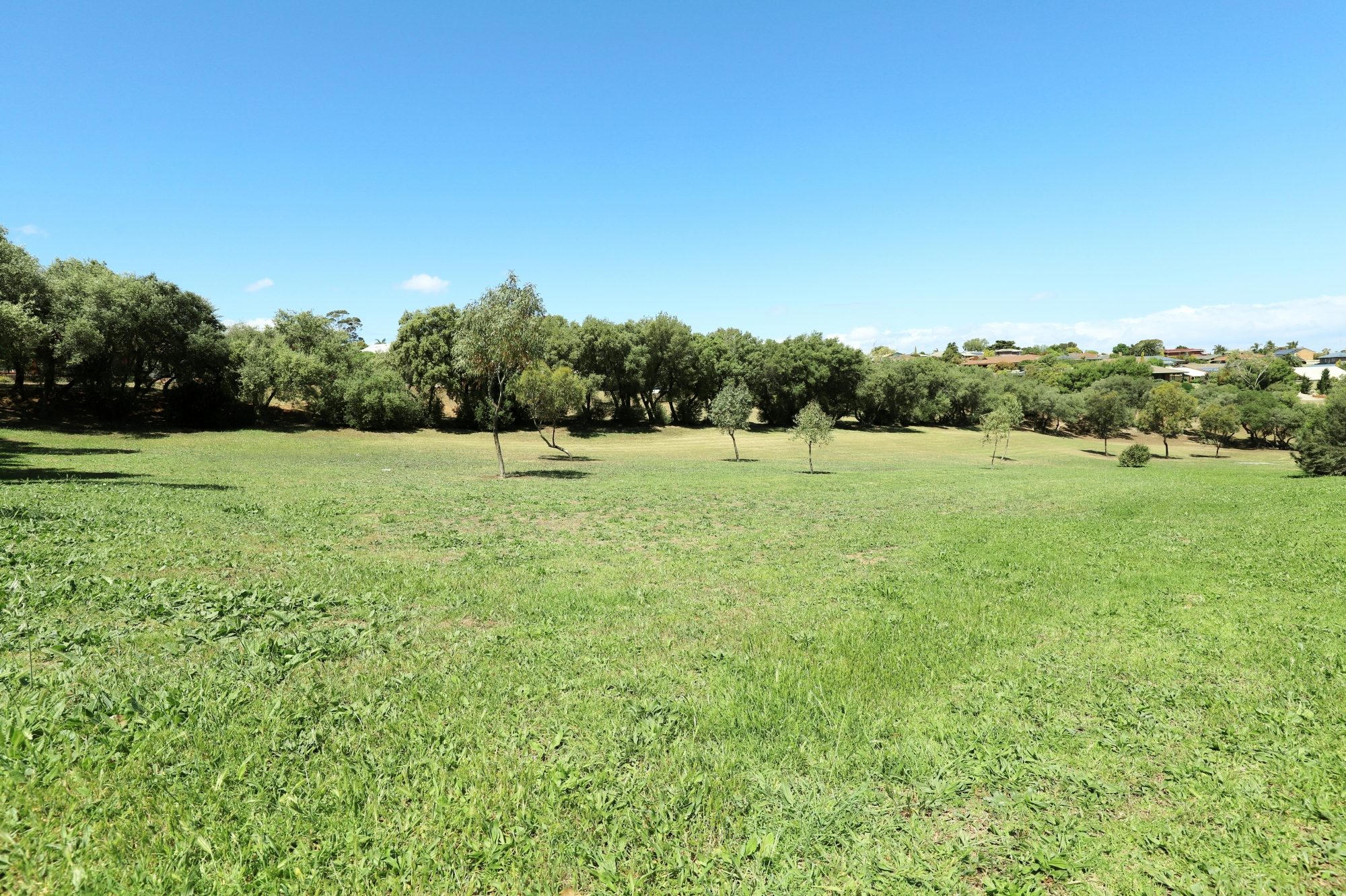 Coorabie Crescent Reserve | Parks | City of Marion
