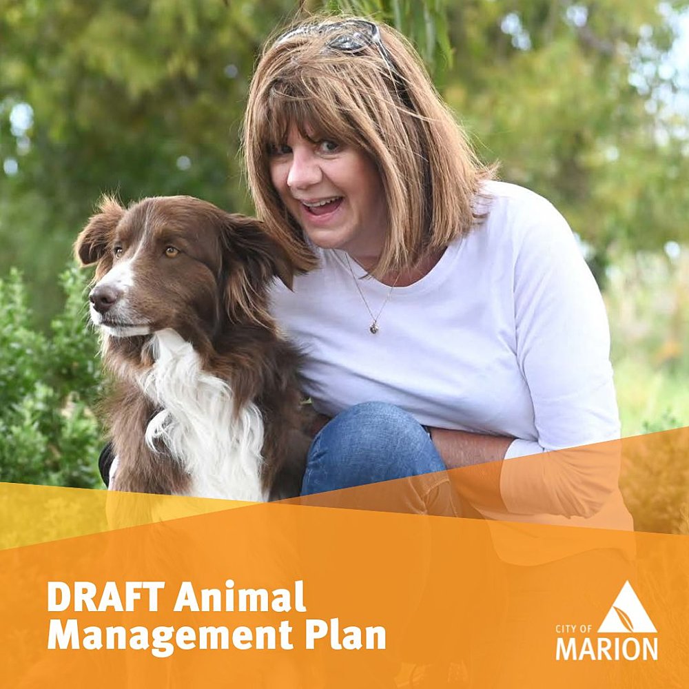 Have Your Say: Draft Animal Management Plan | News | City of Marion